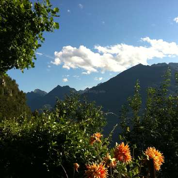 Magic of spring season in Uttarakhand - Uttarapedia – The Knowledge Hub ...