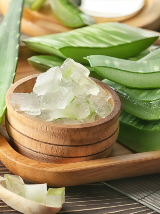 Aloevera : एलोवेरा के चमत्कारी फायदे और इस्तेमाल, जिनके बारे में आपको ...